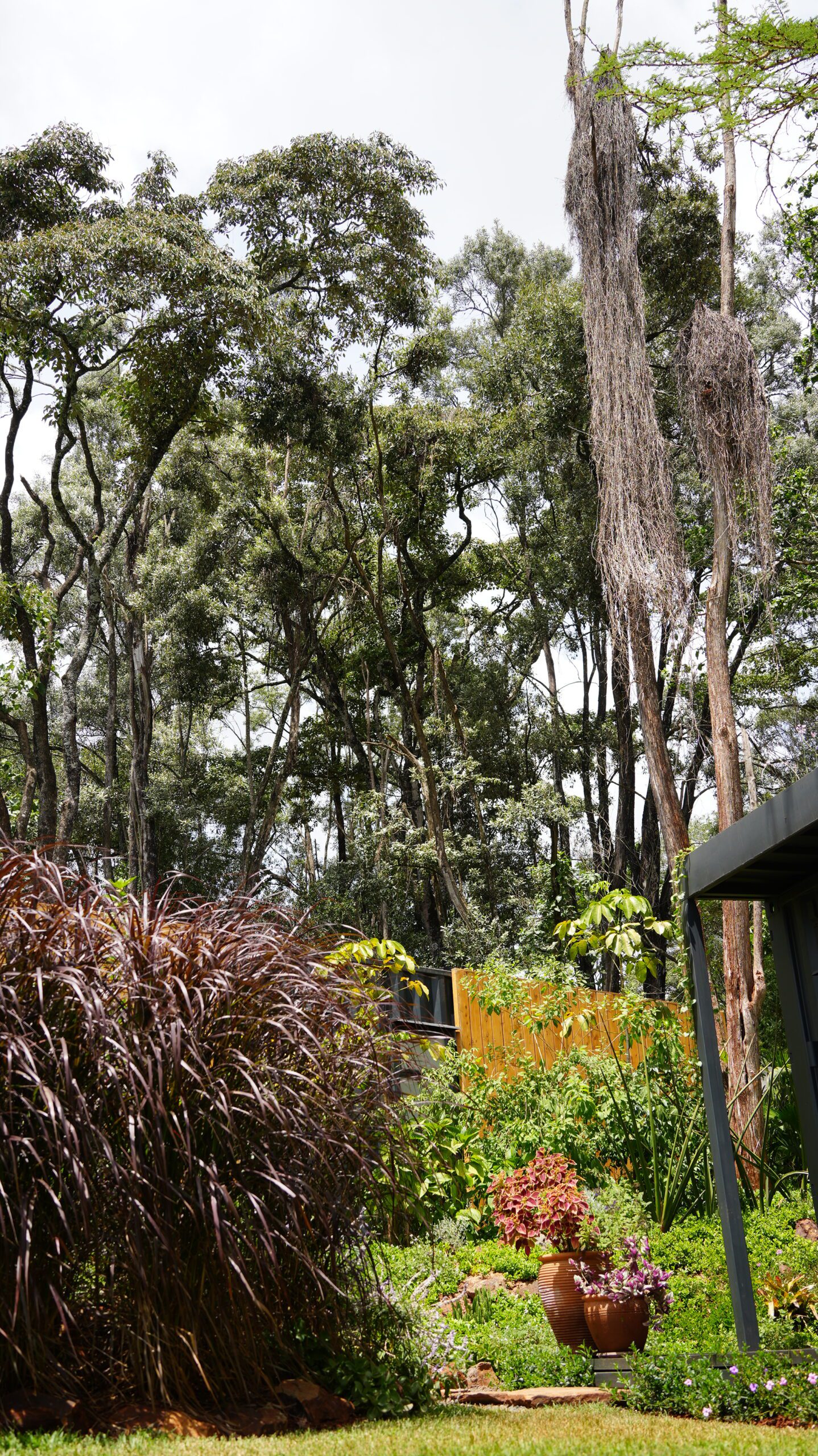 The farmhouse - Pumbaa Farmhouse and Cottages